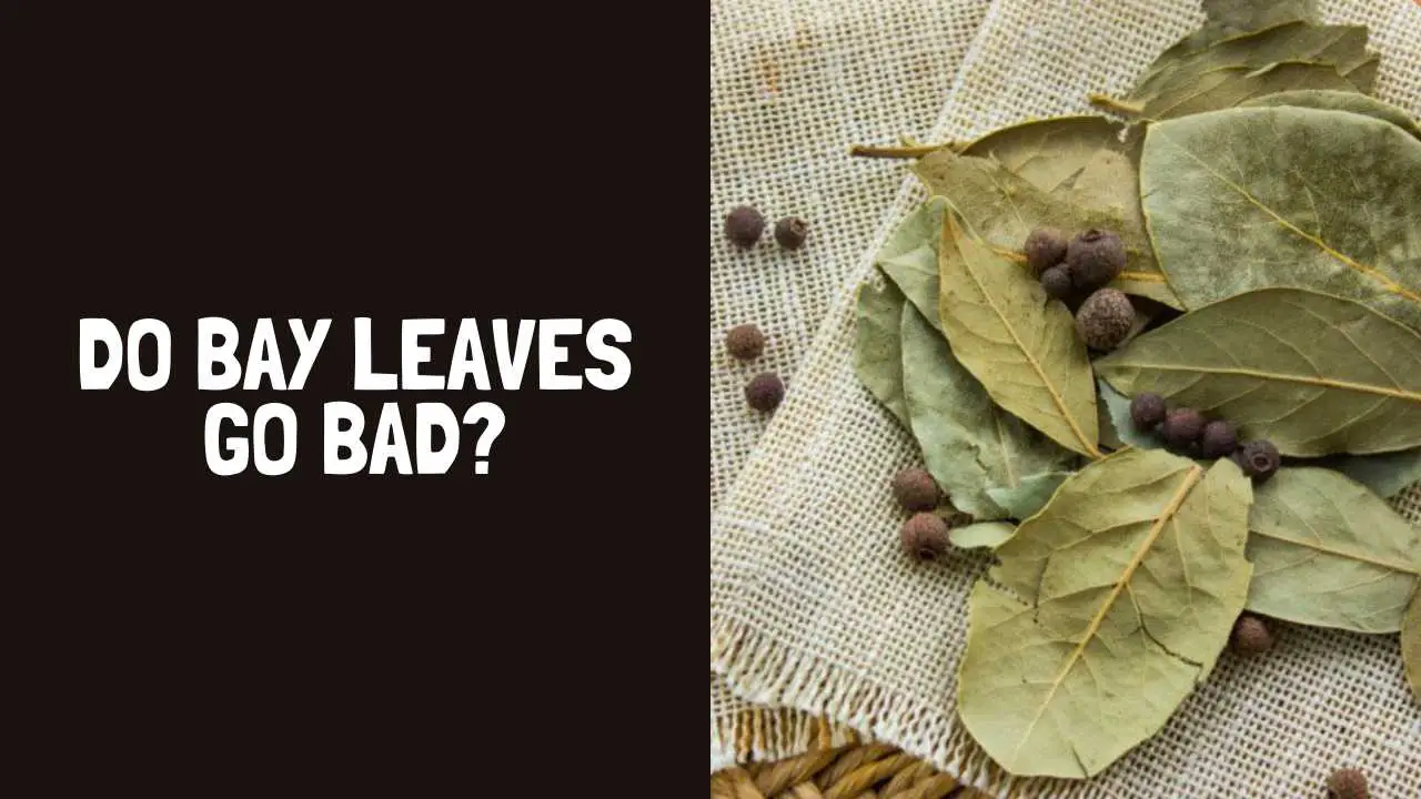 do-bay-leaves-go-bad-how-long-do-bay-leaves-last