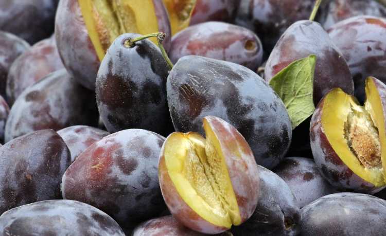 10 Fruits That Start With Z (Best List)