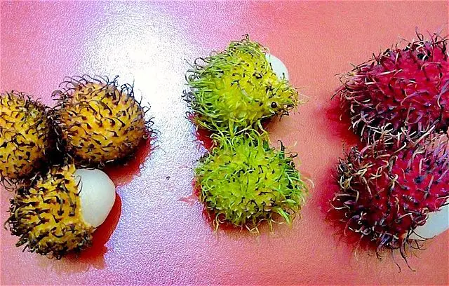 24 Fruits That Start With R (Best List)