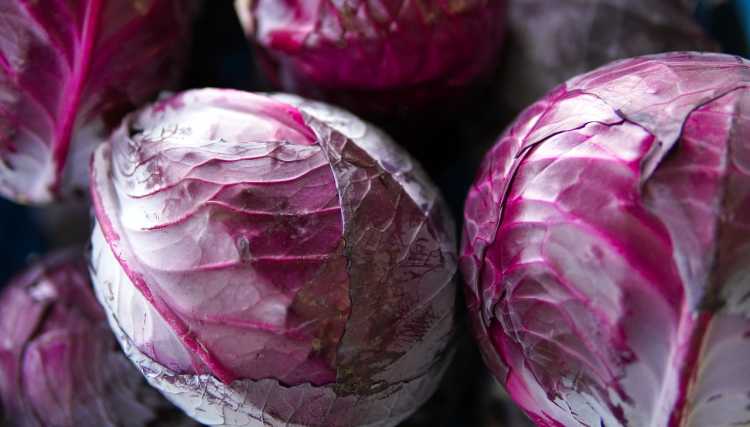 19 Vegetables That Start With R (Best List)