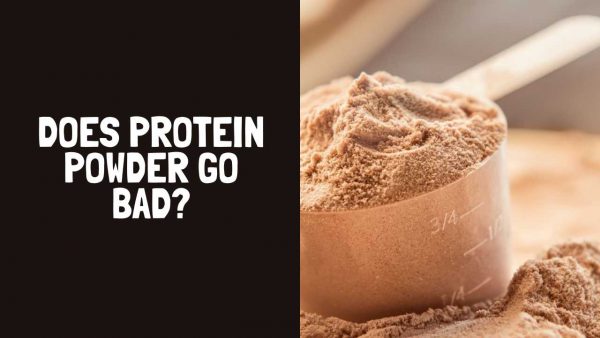 Does Protein Powder Go Bad? How Long Does Protein Powder Last?