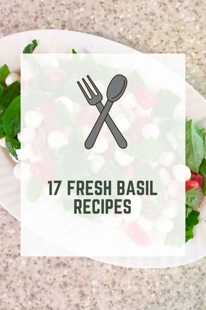 17 Fresh Basil Recipes (Quick & Delicious)