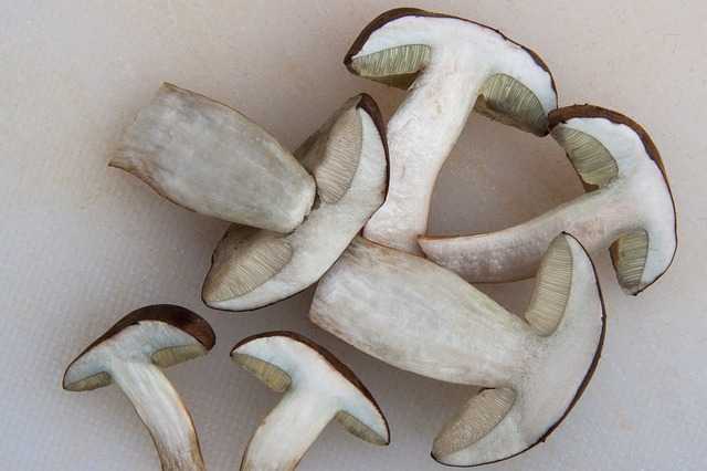 9 Mushroom Substitutes You May Already Have (Best Options)