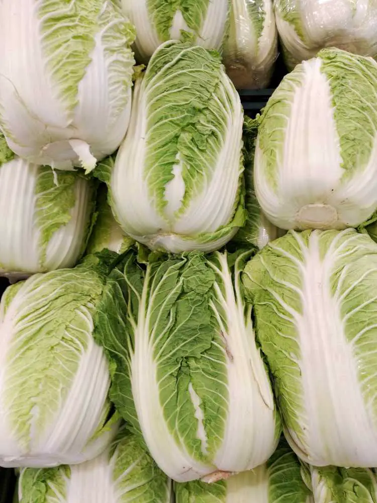 10 Vegetables That Start With N (Best List)